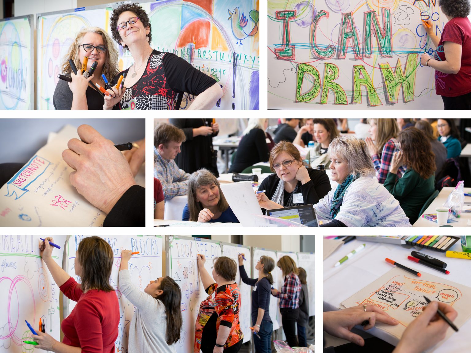 #VizEd17 – Creating Visual Resonance in Teaching and Learning – BCcampus