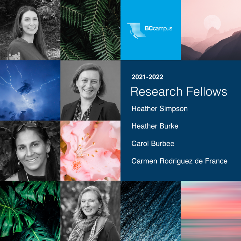 2021 – 2022 BCcampus Research Fellows – BCcampus